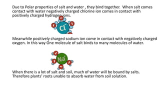 Sodium | PPTX