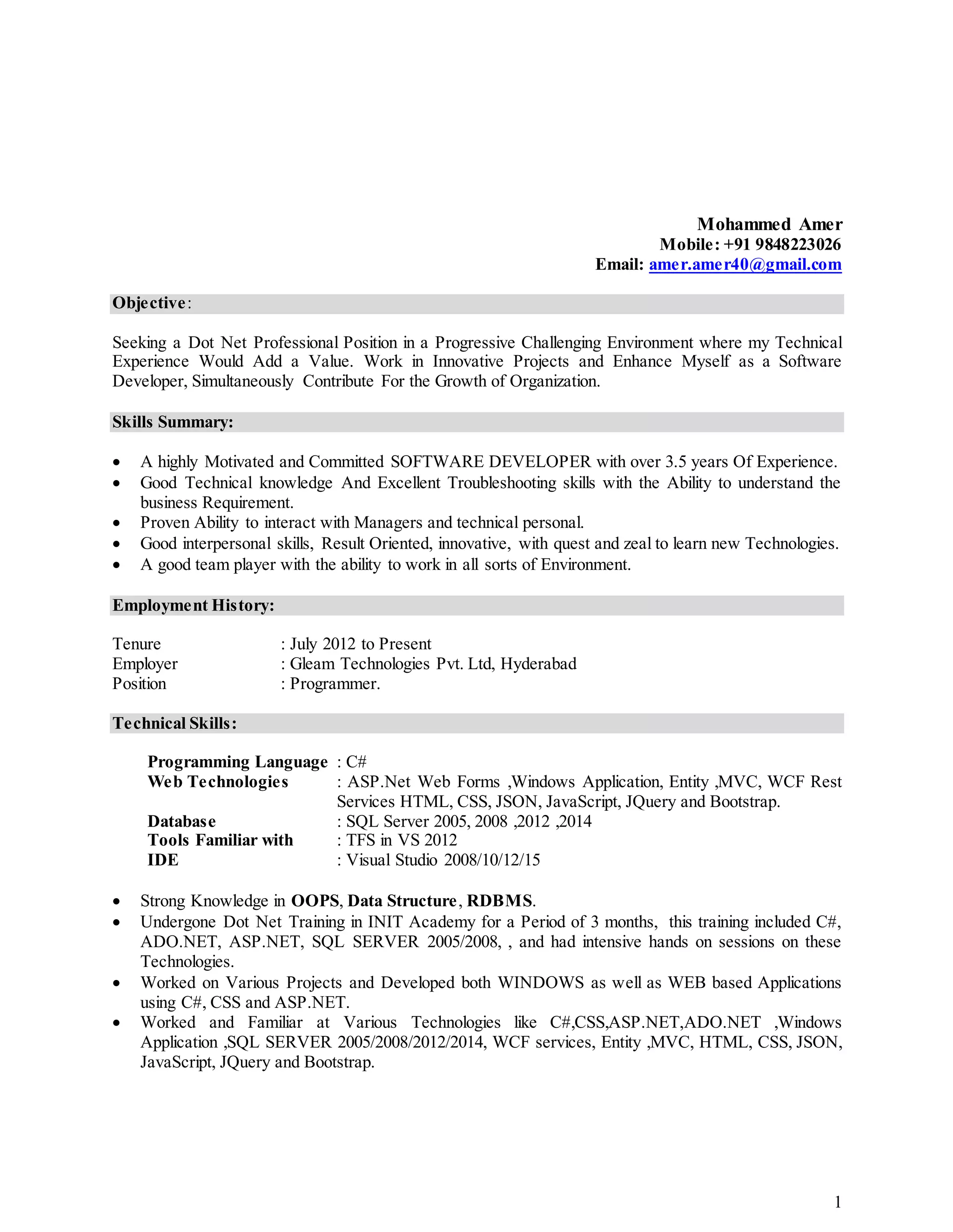 Amer CV (1) | DOCX | Web Design and HTML | Internet