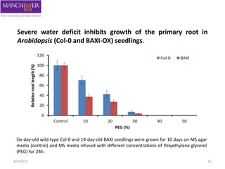 The role of Programmed Cell Death in the drought response of ...