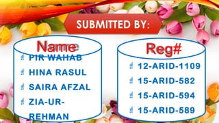 Women Rights in Islam; Pir wahab | PPT