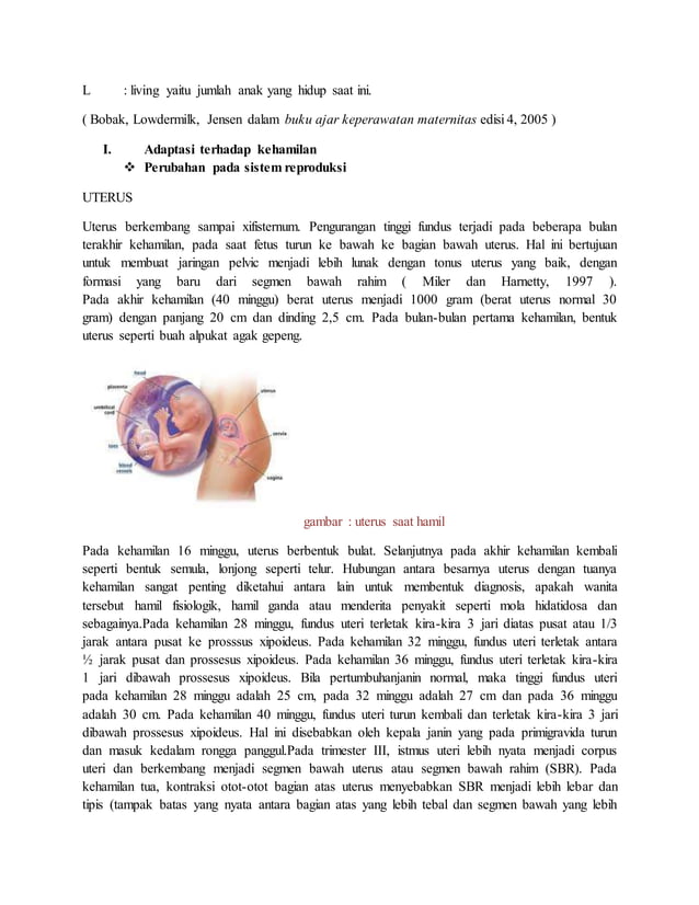 94854162 anatomi-fisiologi-kehamilan | PDF