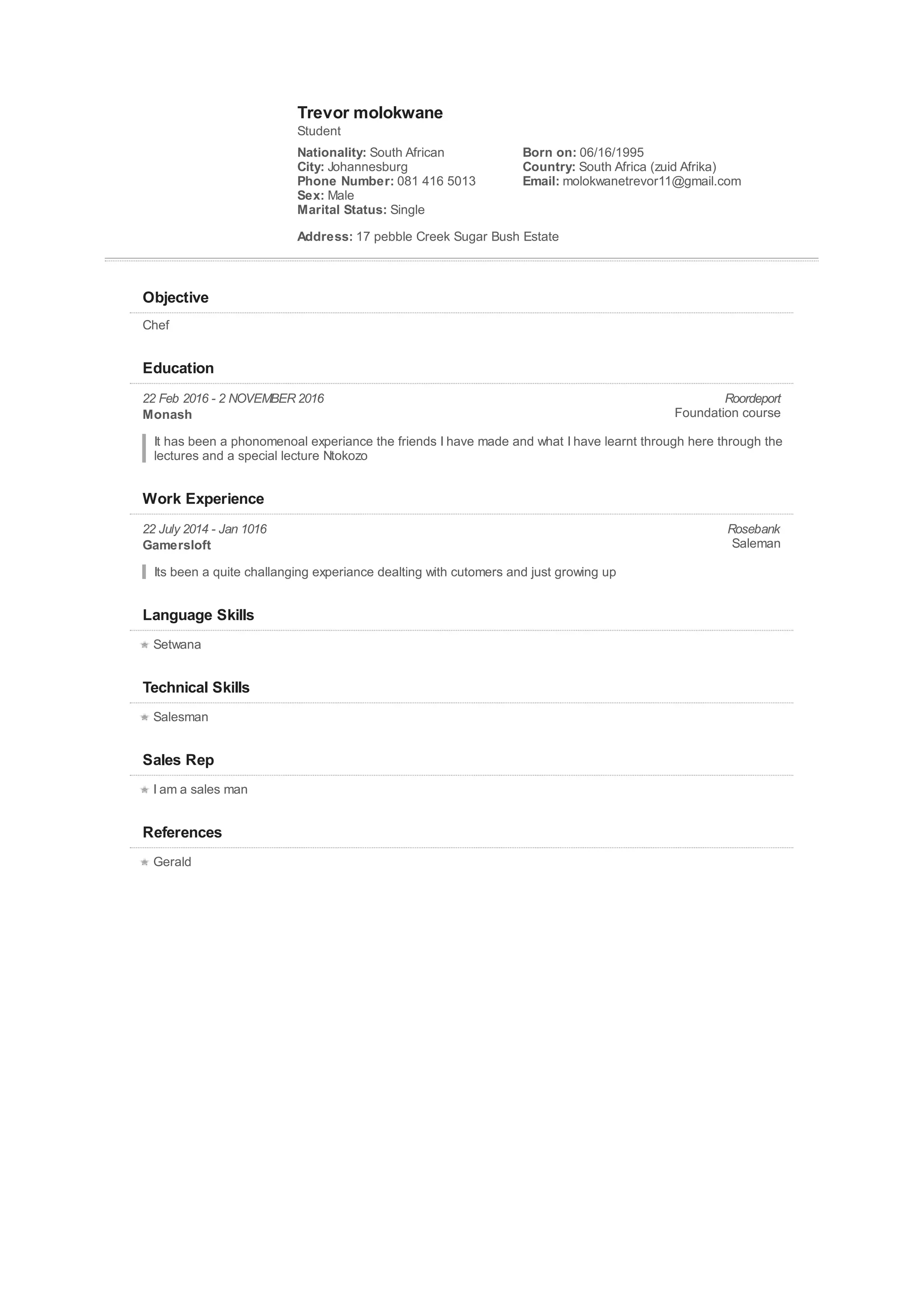 CurriculumVitae (1) | PDF