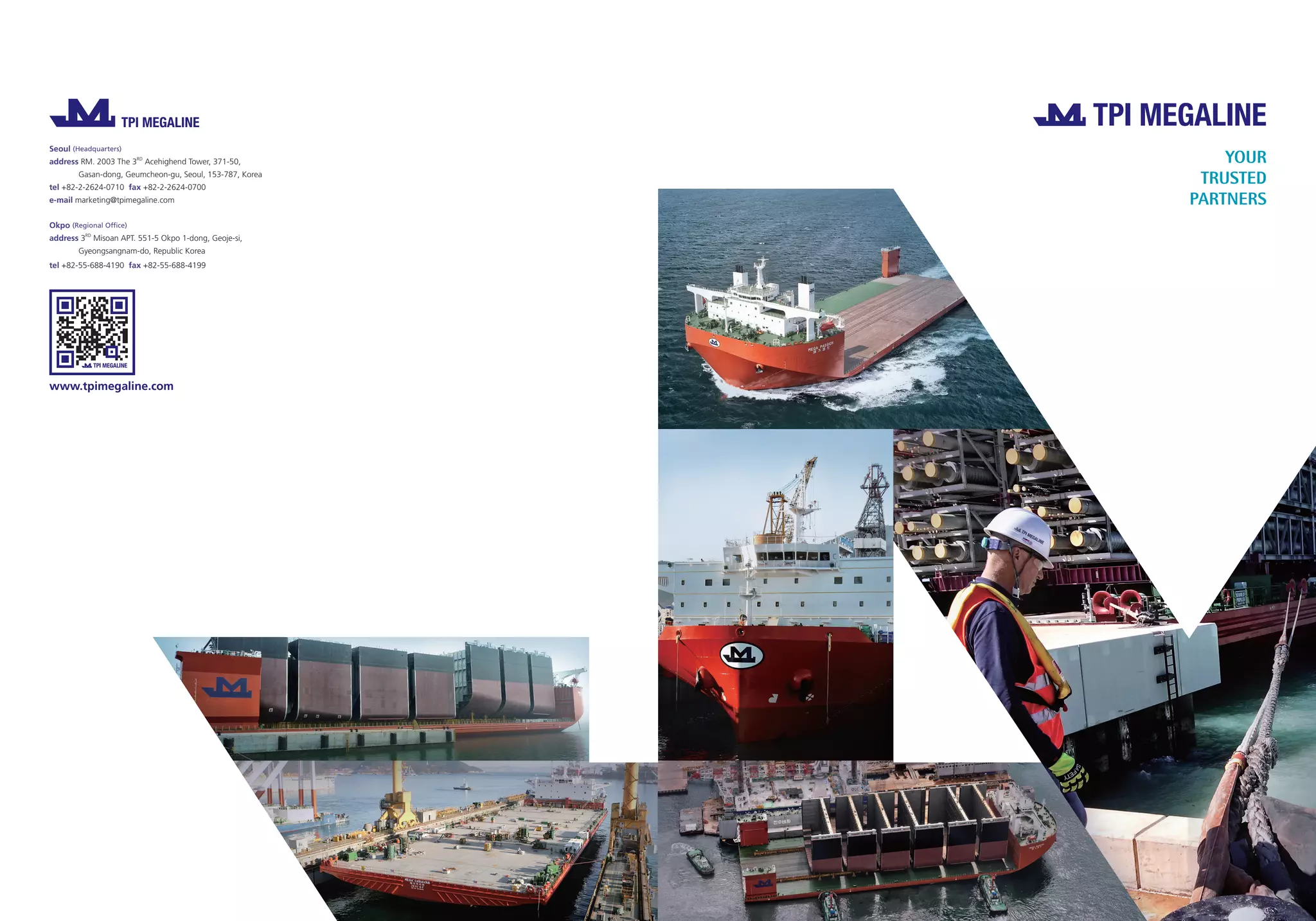 TPI MegaLine Brochure | PDF