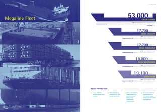 TPI MegaLine Brochure | PDF