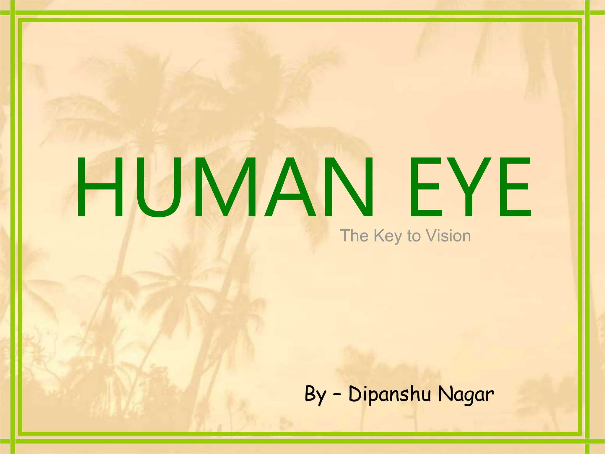 94955904-HUMAN-EYE-PRESENTATION.pptx human eye | PPT