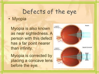 94955904-HUMAN-EYE-PRESENTATION.pptx human eye | PPT