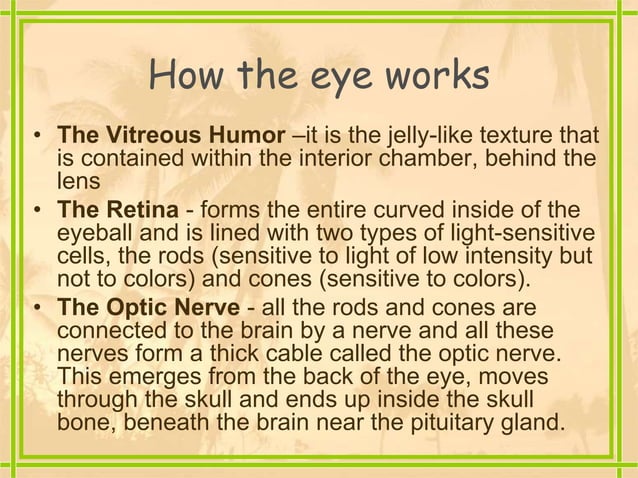 94955904-HUMAN-EYE-PRESENTATION.pptx human eye | PPT