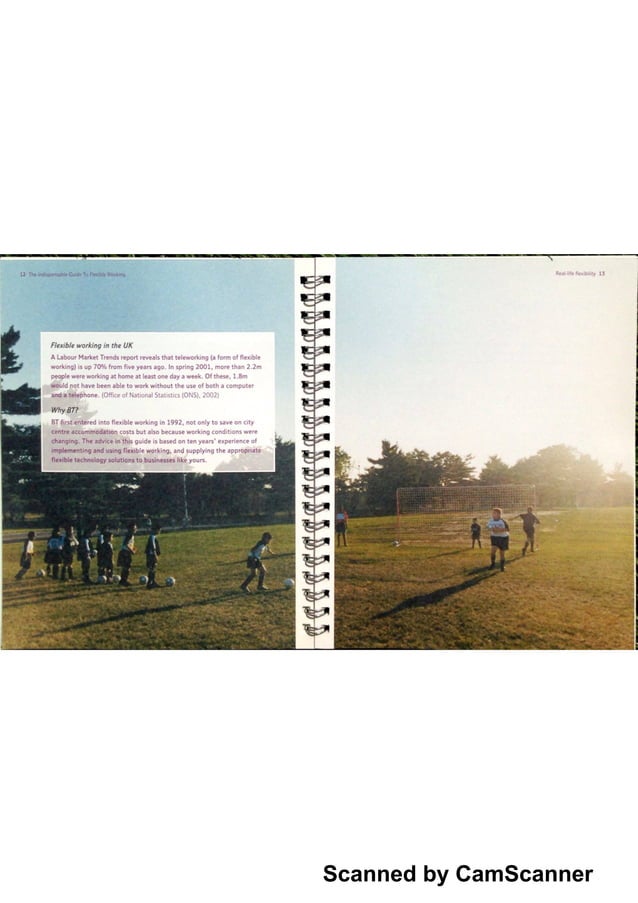 bt flexible working | PDF | Grocery Shopping | Shopping