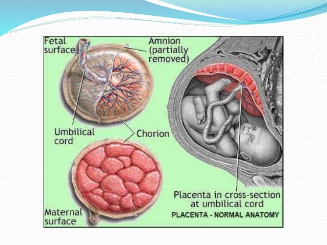 006 management of the third stage of labor