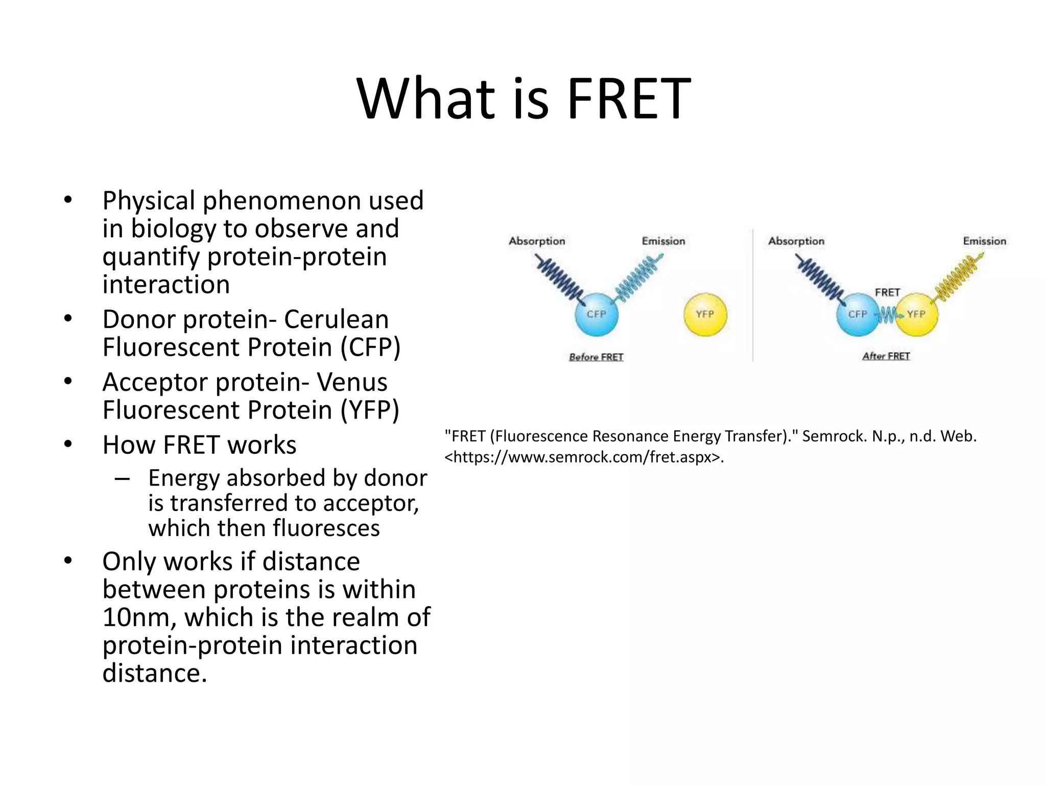 FRET BIOL 497 Presentation | PPTX