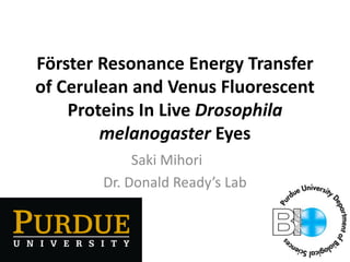 FRET BIOL 497 Presentation | PPTX