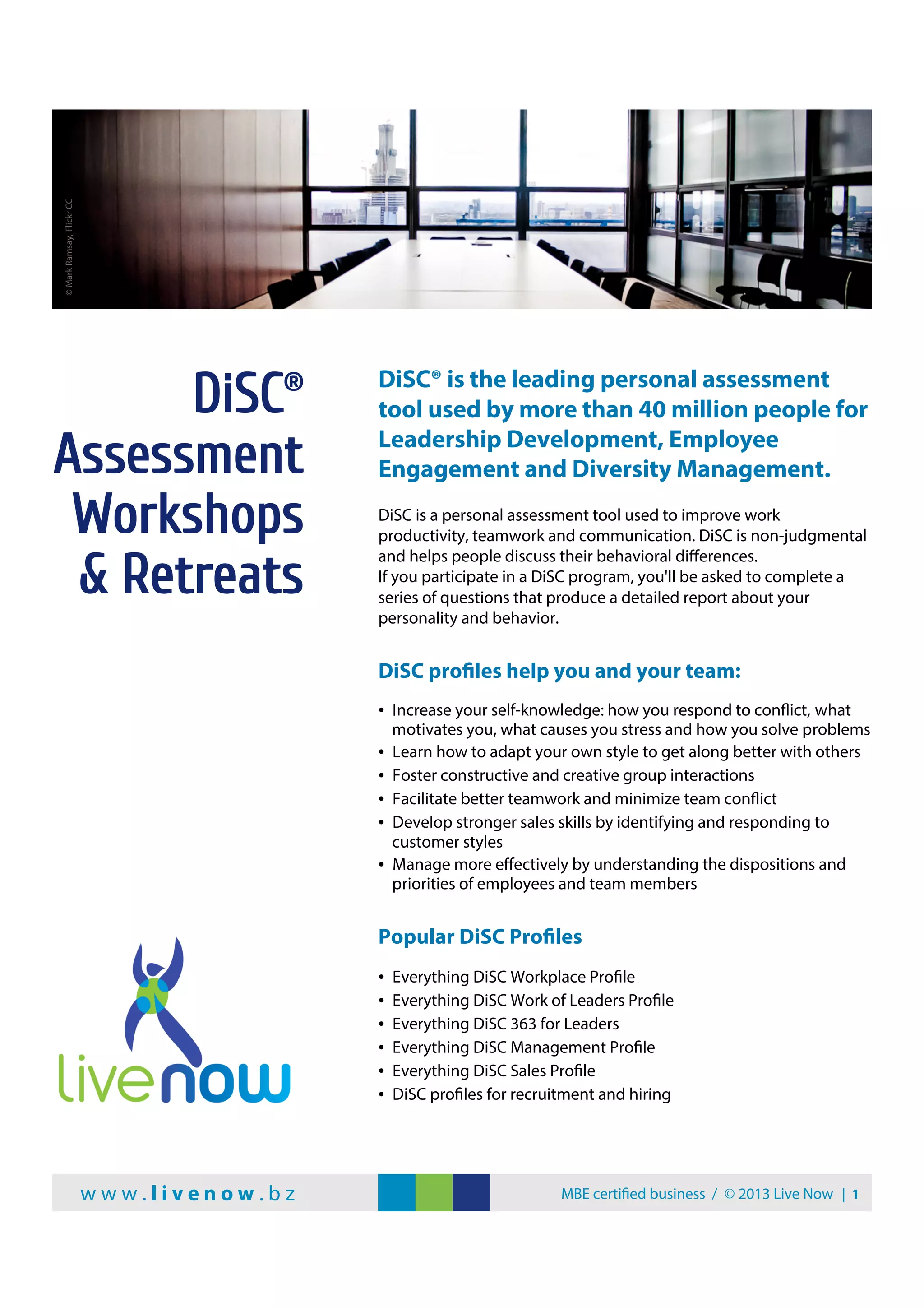 DiSC Workplace flyer | PDF
