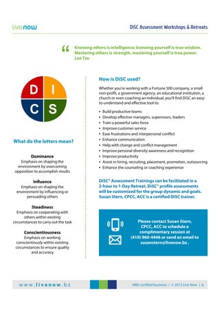 DiSC Workplace flyer | PDF