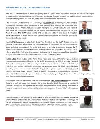 introducing-MEA-Risk | PDF