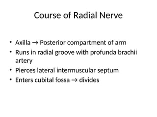 RADIAL NERVE COURSE, INNERVATION, CLINICAL SIGNIFICANCE | PPTX