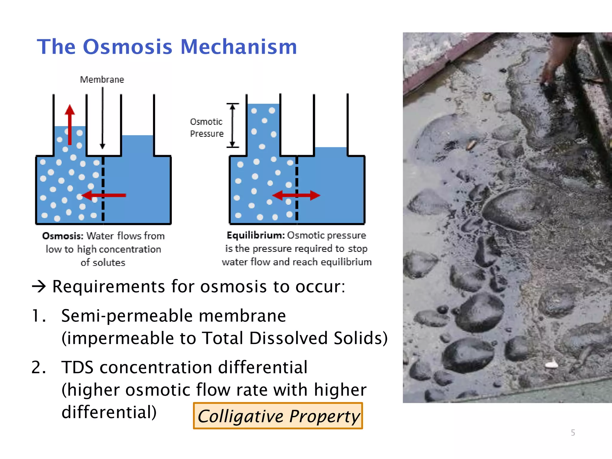 Solutions to Address Osmosis and the Blistering of Liquid-Applied ...