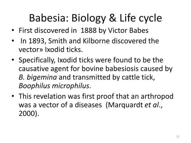 Malaria and Babesiosis co-infectionppt | PPTX | Infectious Diseases | Diseases and Conditions