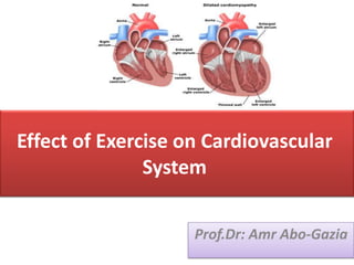 effects of exercise on cardiovascular system | PDF