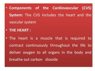 effects of exercise on cardiovascular system | PDF