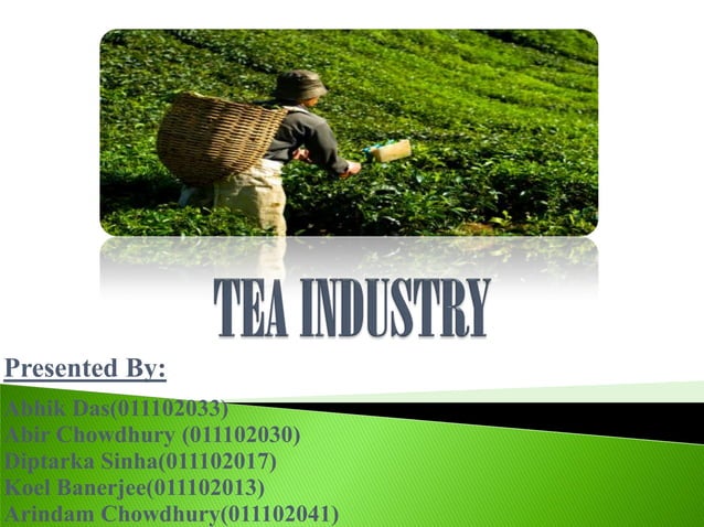 95267251-Tea-Project.pdf | Commodities | Economy