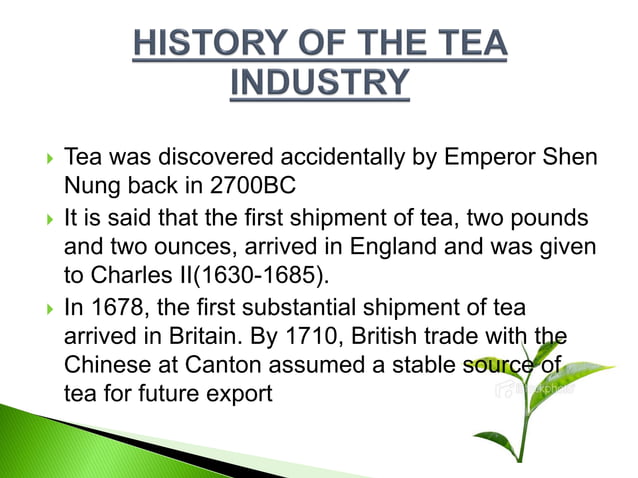 95267251-Tea-Project.pdf | Commodities | Economy