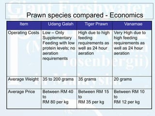 Freshwater-prawn | PDF