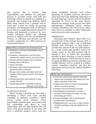 Scholarly Paper NSSI | PDF