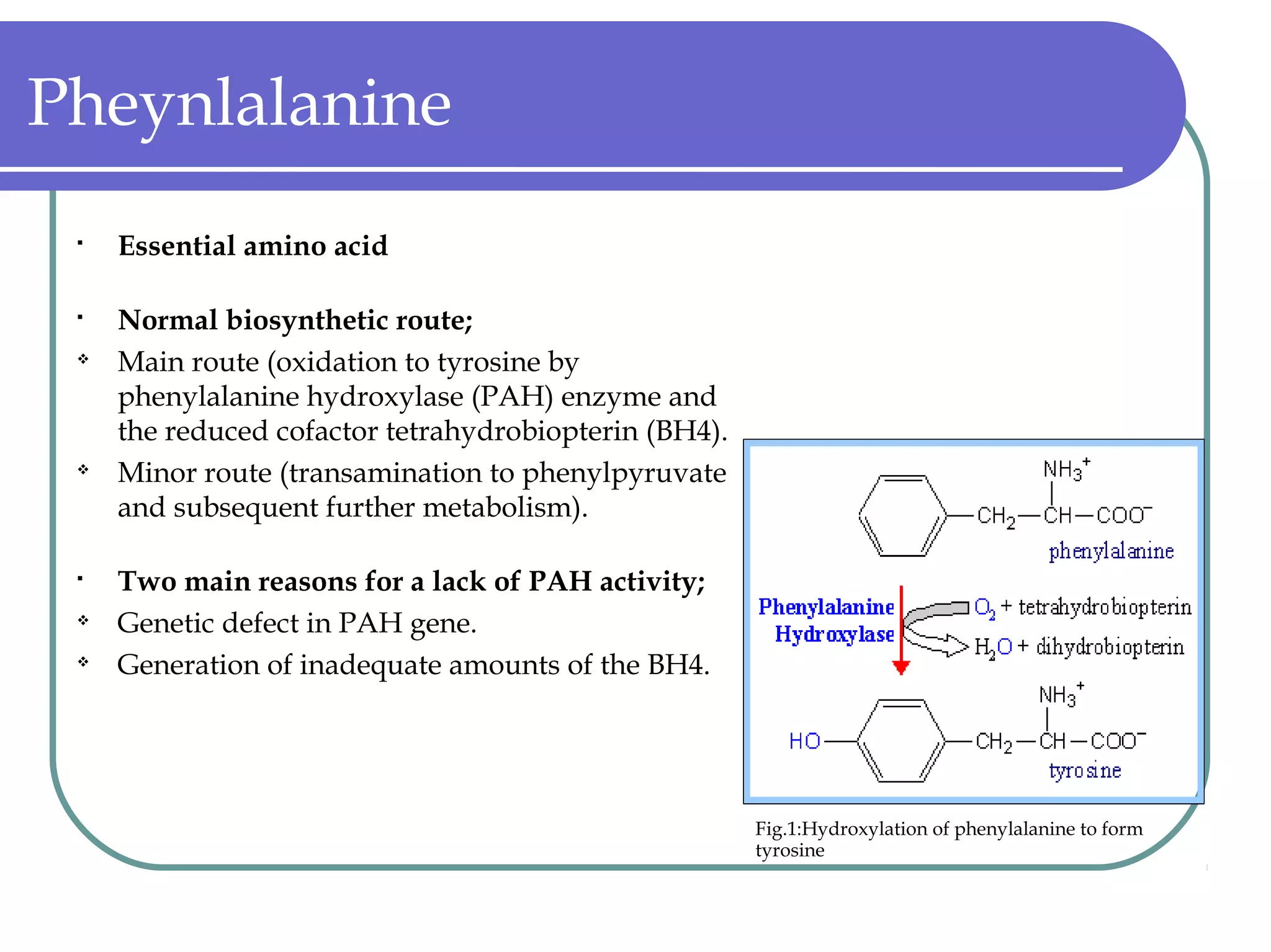PKU presentation | PPT