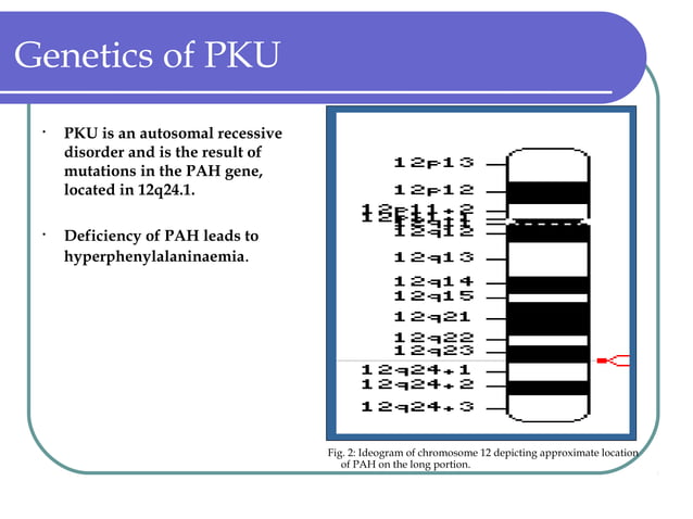 PKU presentation | PPT | Endocrine and Metabolic Diseases | Diseases ...