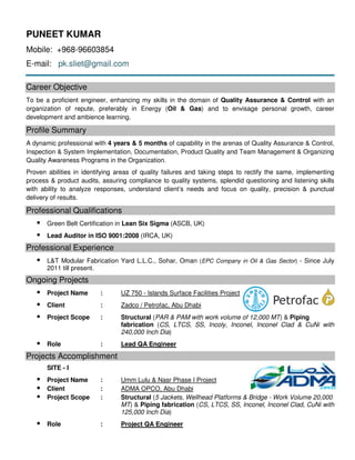 Curriculum_Vitae_PK | PDF