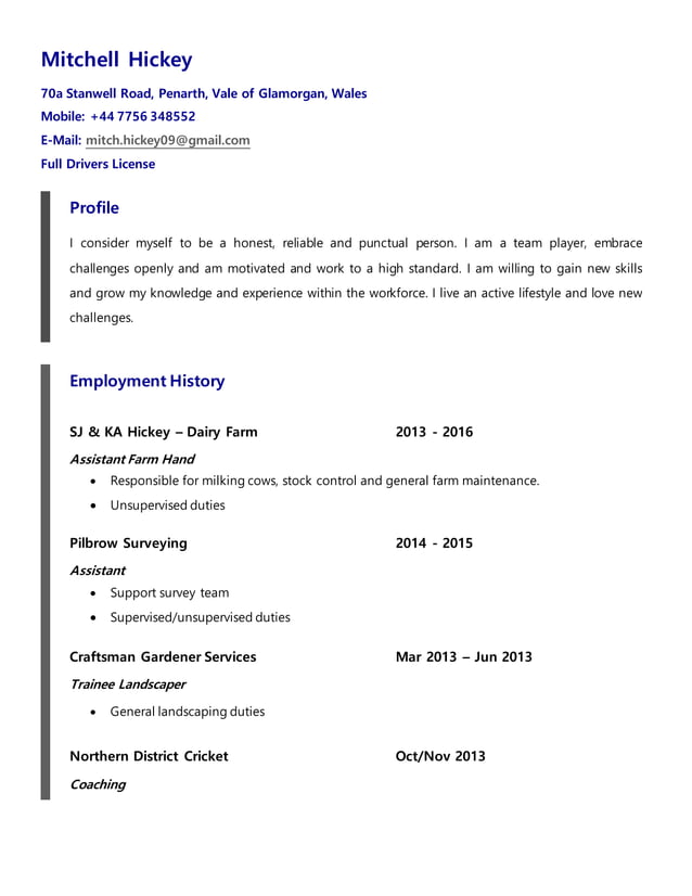 Mitchell Hickey CV | PDF