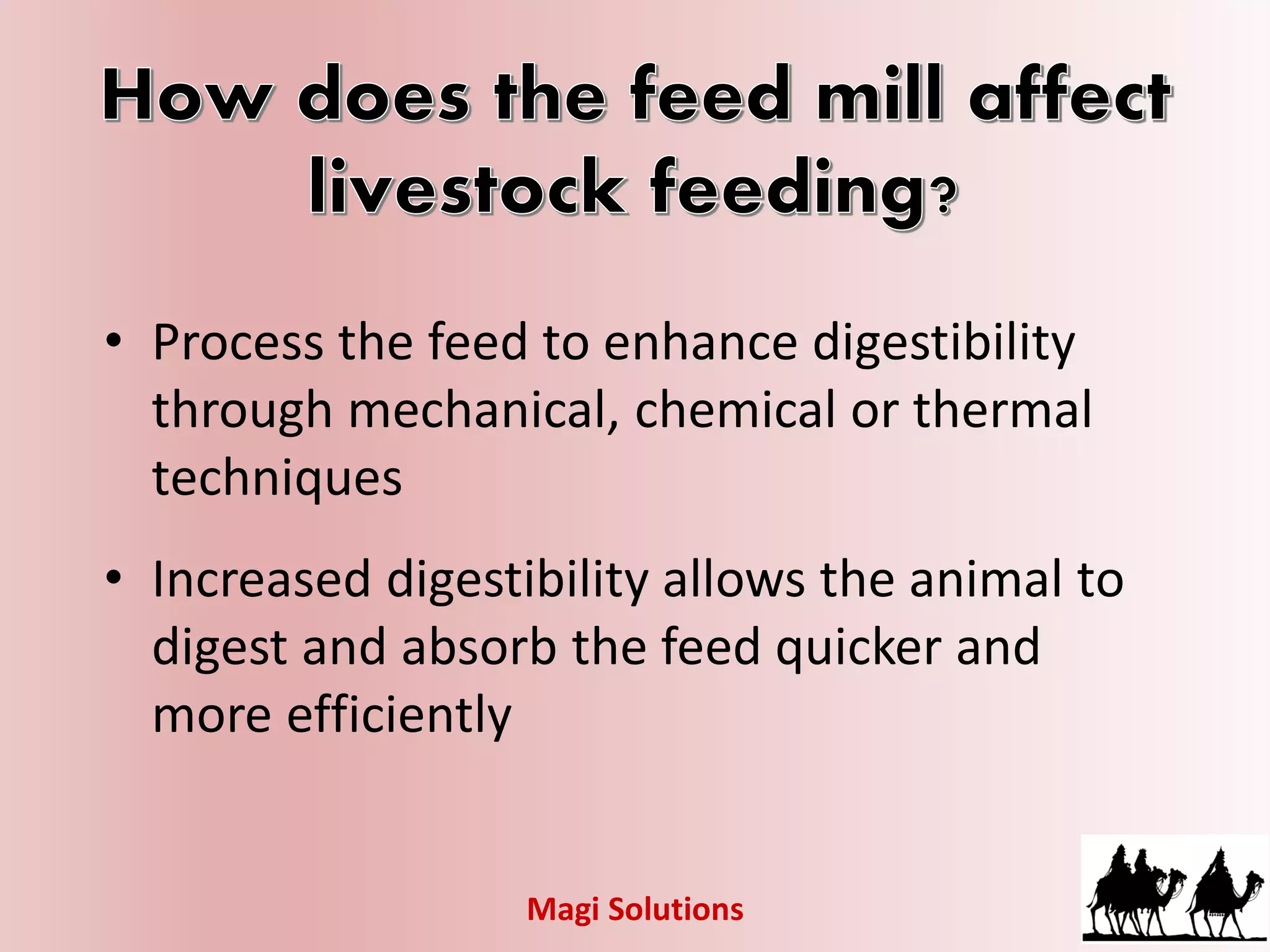 Feed Manufacturing Basics | PDF