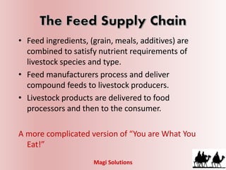 Feed Manufacturing Basics | PDF