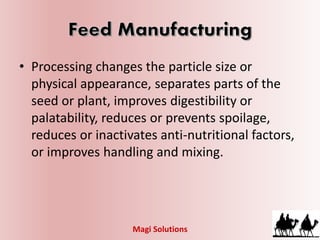 Feed Manufacturing Basics | PDF