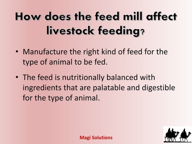 Feed Manufacturing Basics | PDF | Agriculture | Industries