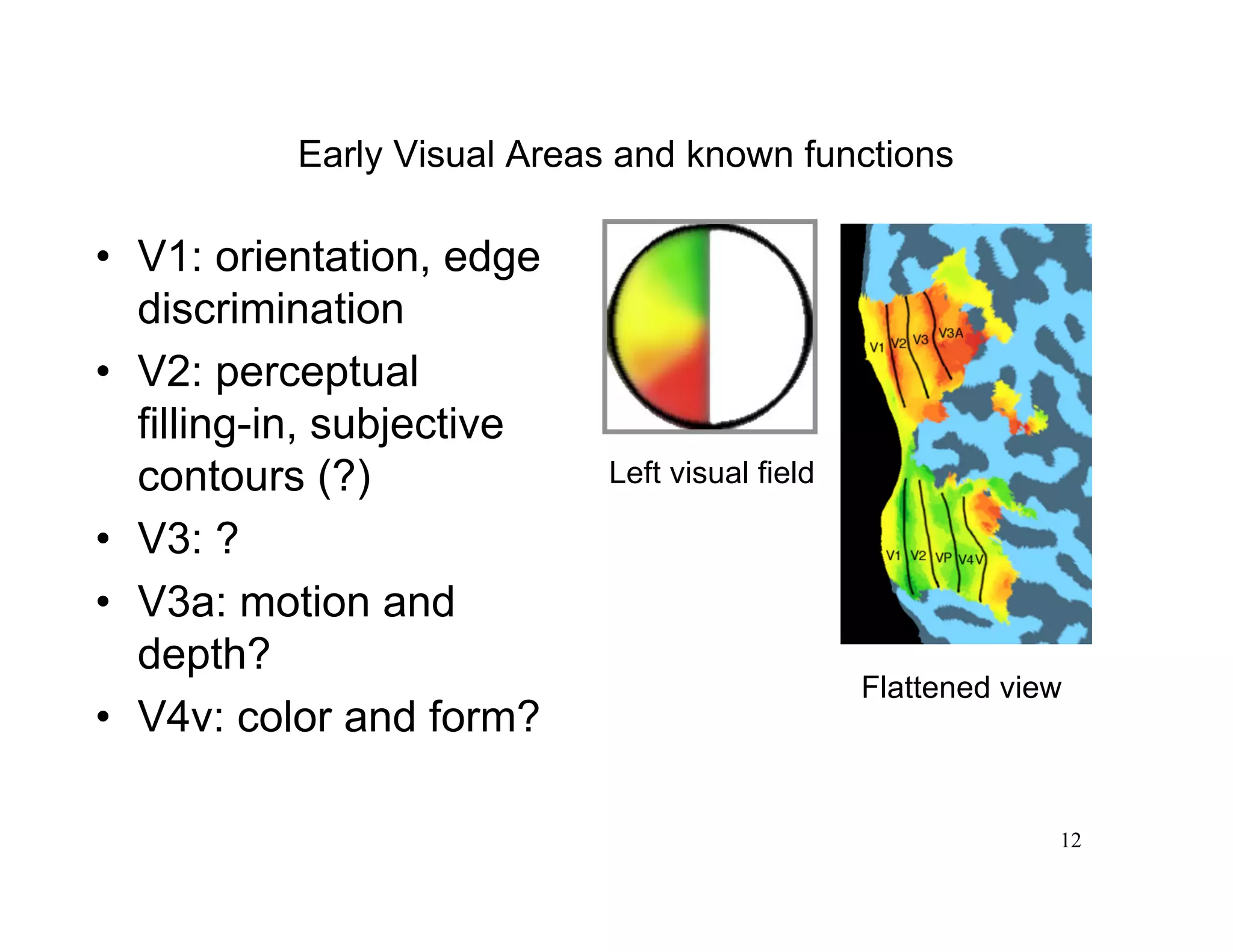 Emma_Retinotopy_Background | PDF