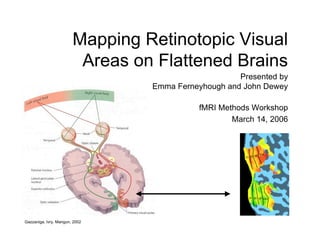 Emma_Retinotopy_Background | PDF