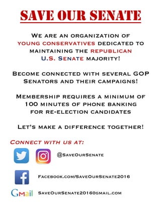 Save Our Senate Flyer | PDF