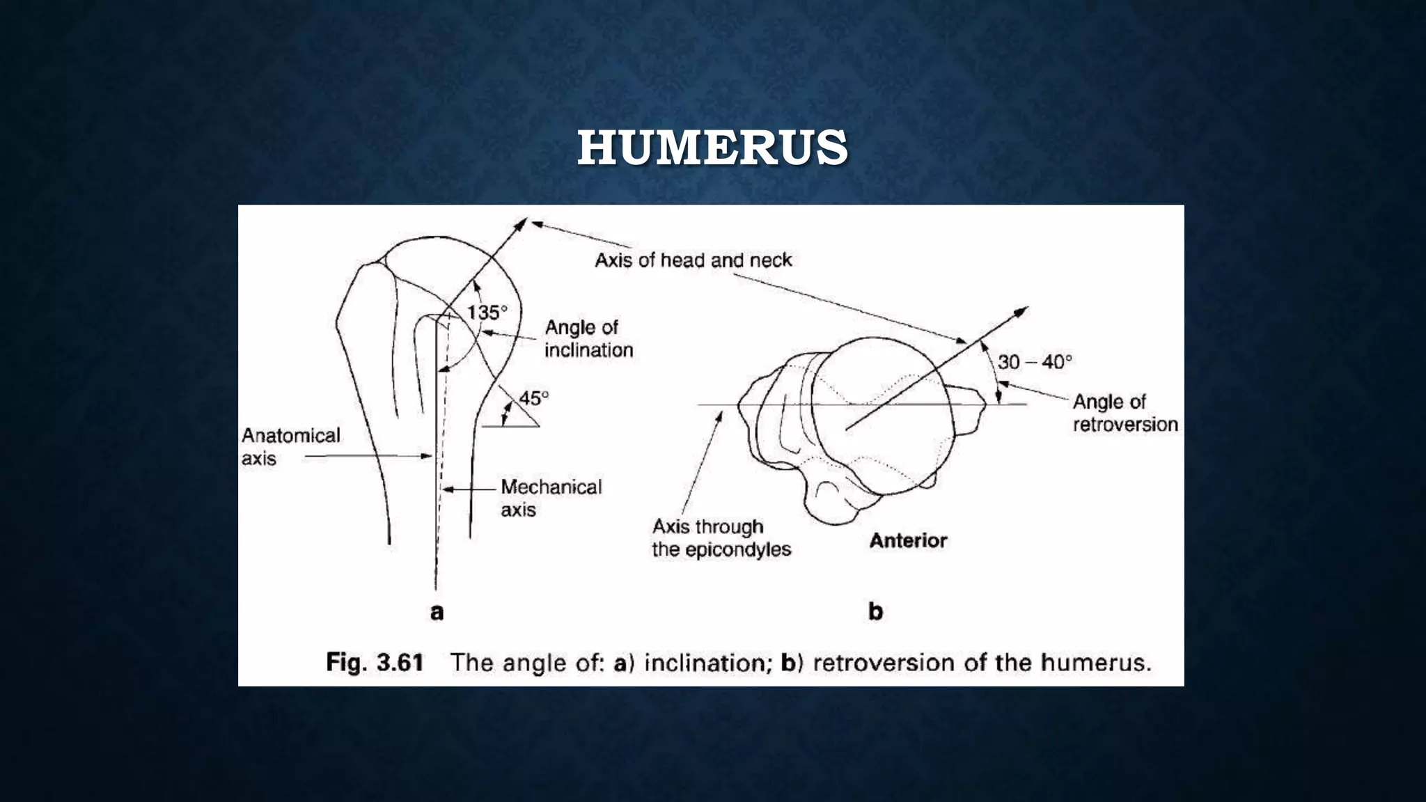 Shoulder Presentation - Internship II VA hospital (Acute care) | PPTX