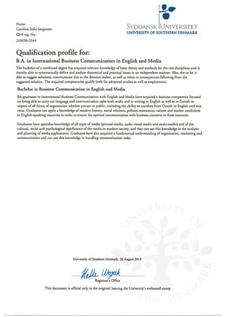 Qualification Profile | PDF