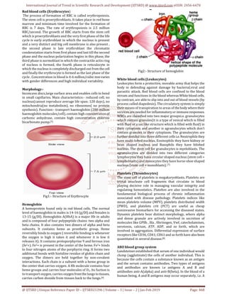 Forensic Existence of Blood as a Dynamic Evidence | PDF