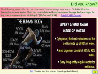 Al Quran (Chapter 96): Surah Al-Alaq [Blood Clot], Surah Ikra [Read] | PDF