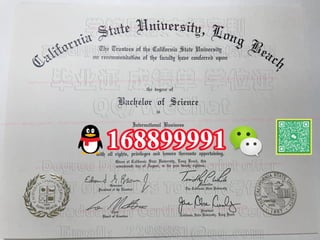 California State University Long Beach degree offer diploma Transcript ...