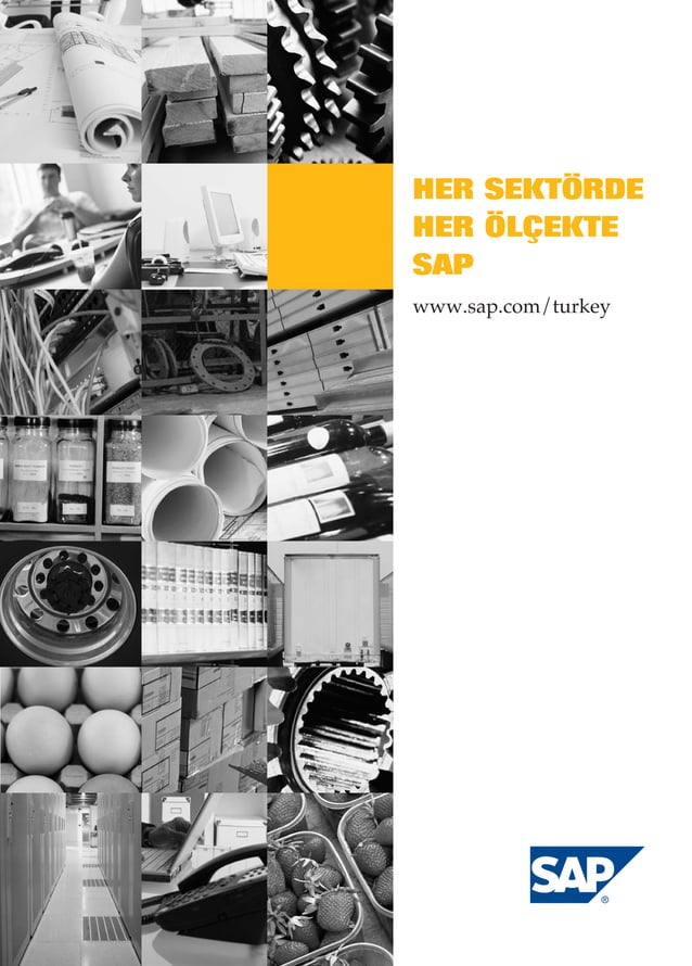 Sap_Turkey_SF | PDF