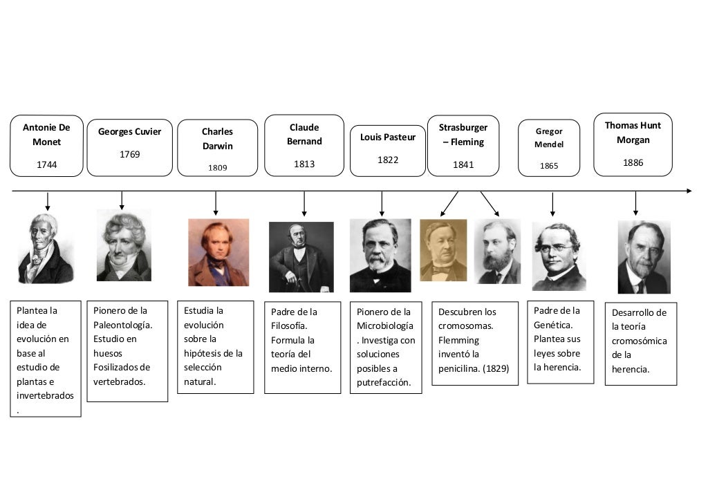 Etapas De La Historia Del Archivo Timeline Timetoast