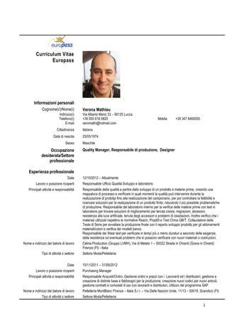 Cv Mathieu Verona 2015 | PDF