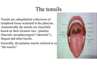 TONSILLITIS | PPTX