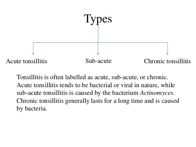 Pathophysiology Of Tonsillitis