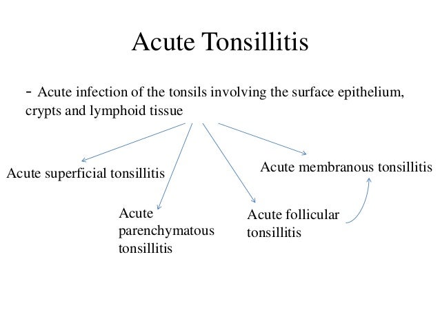 Pathophysiology Of Tonsillitis