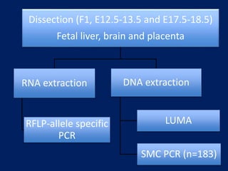 Epigenetic project5 | PPTX